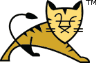 Apache Tomcat 9 (9.0.46) - Advanced IO and Tomcat